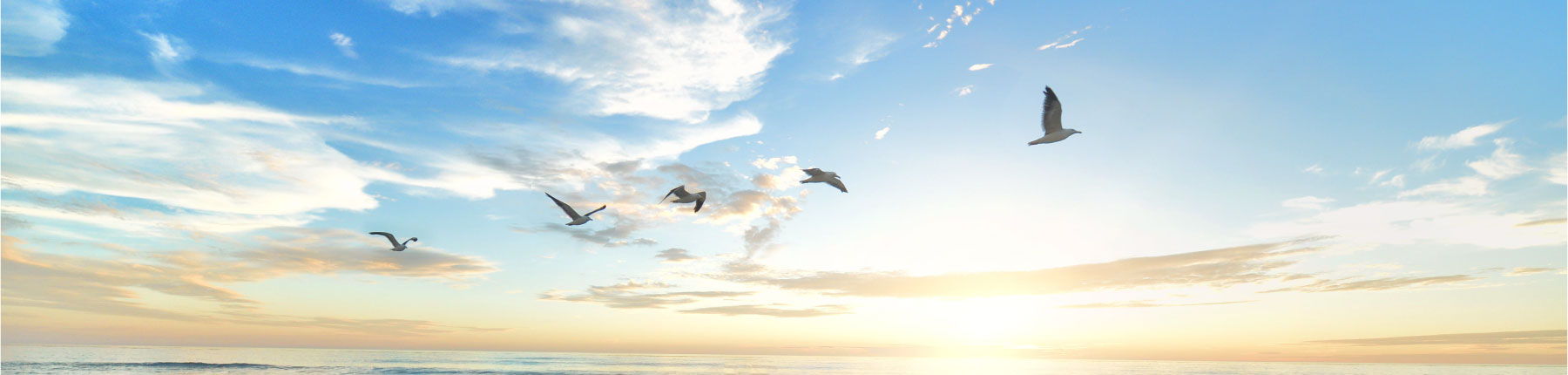 SKM LLP- Tax, audit, advisory and technology